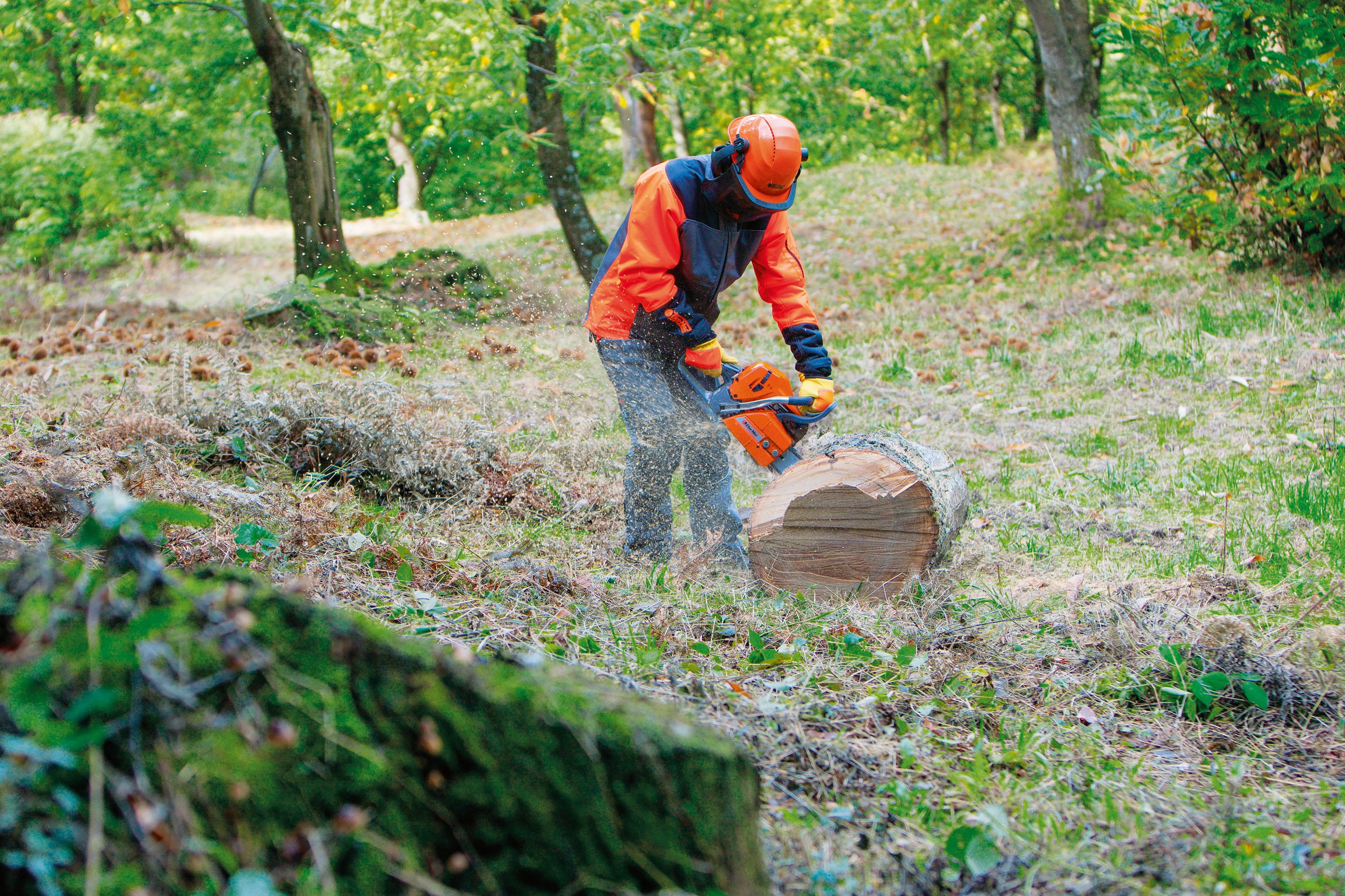 Tronçonneuses professionnelles – Oleo-Mac